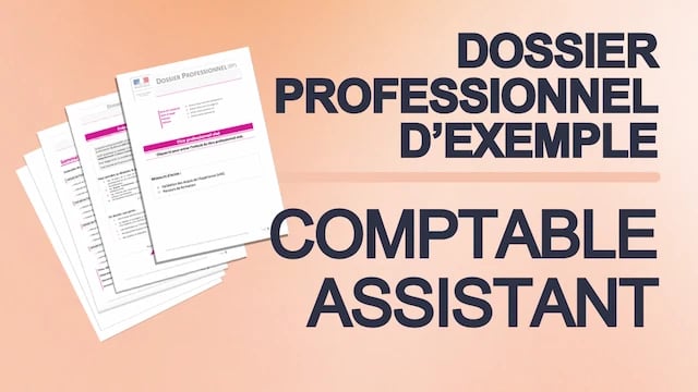 Dossier professionnel Comptable assistant
