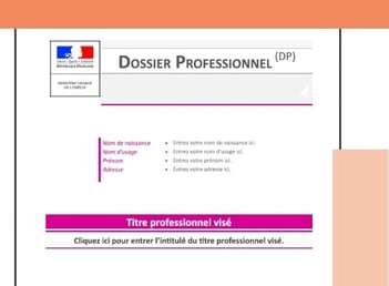 Dossier professionnel de l'Assistant de vie aux familles (ADVF)